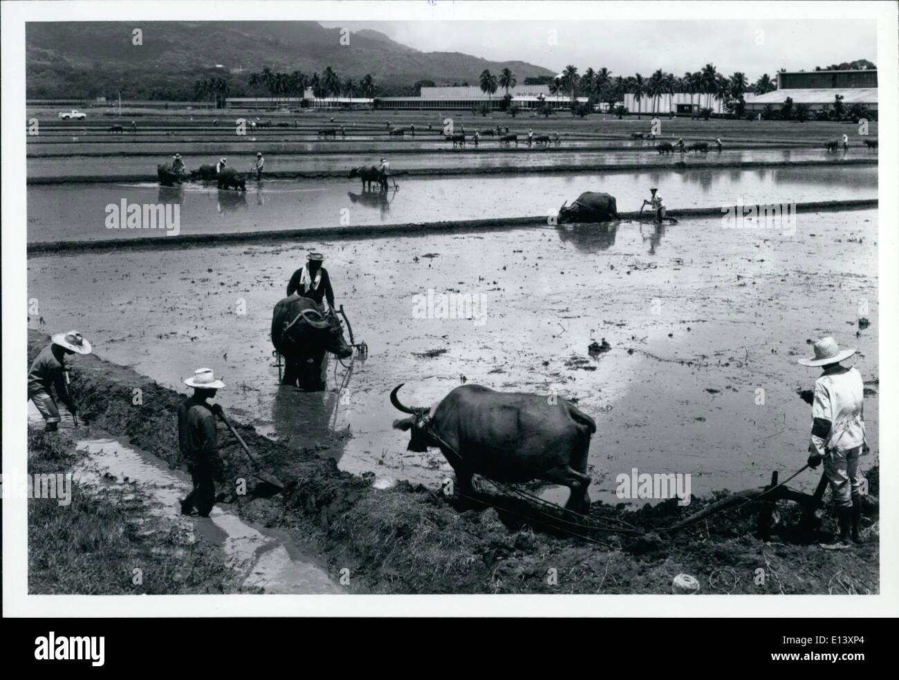 2012 irri buildings in background hi-res stock photography and images ...