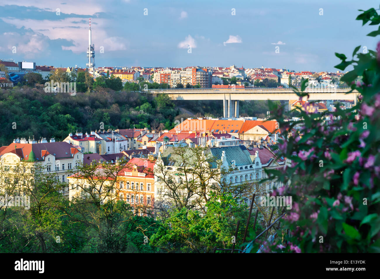 View of the Prague district Nusle from Vyshehrad. Czech Republic Stock ...