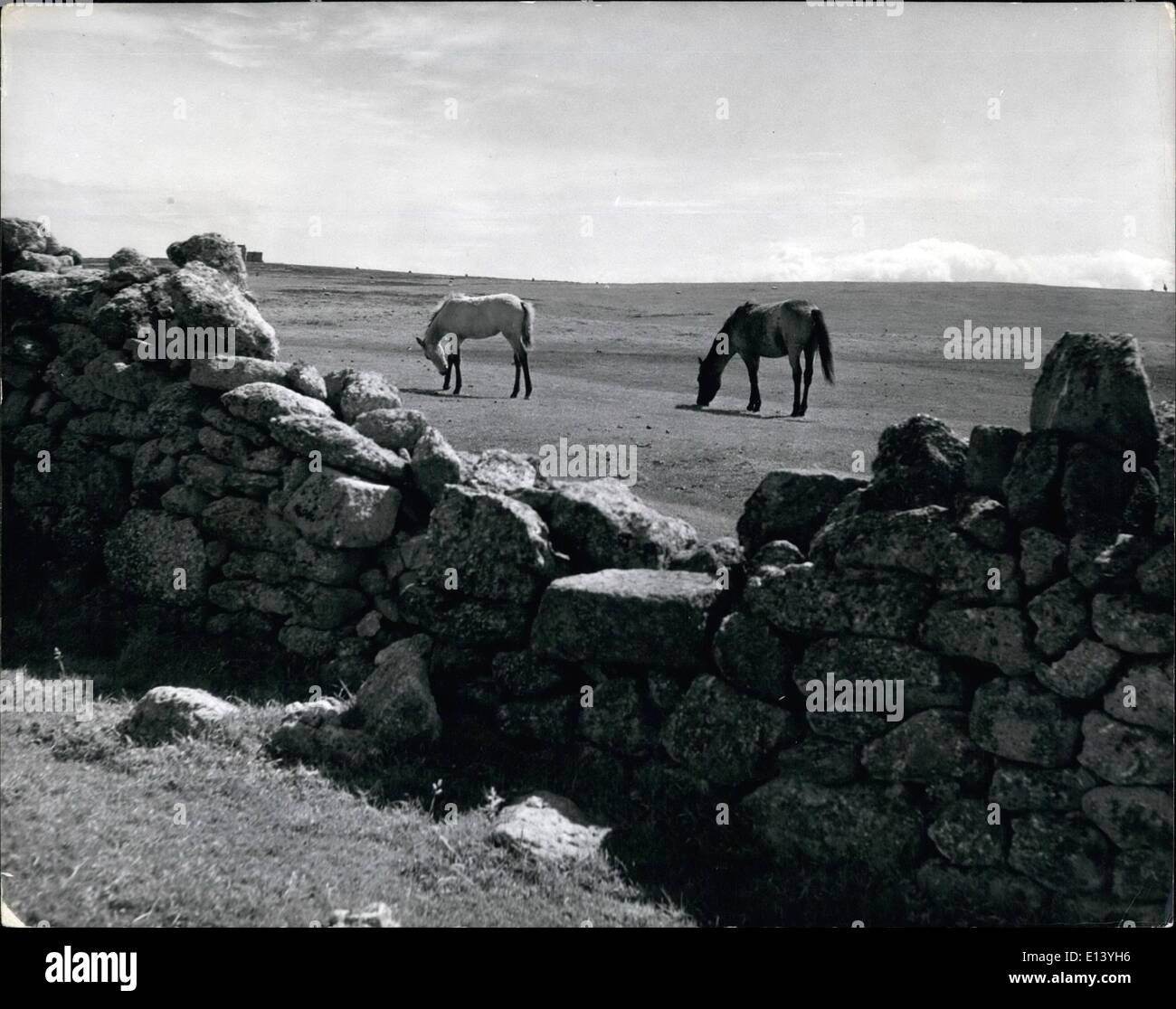 Mar. 27, 2012 - Lundy Island:A gap in the Half Way wall which divided ...