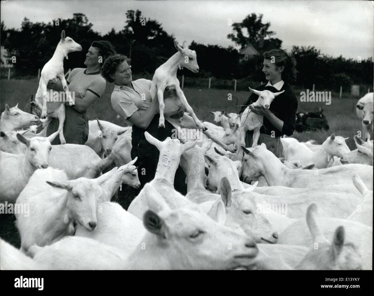 Dairying High Resolution Stock Photography and Images - Alamy