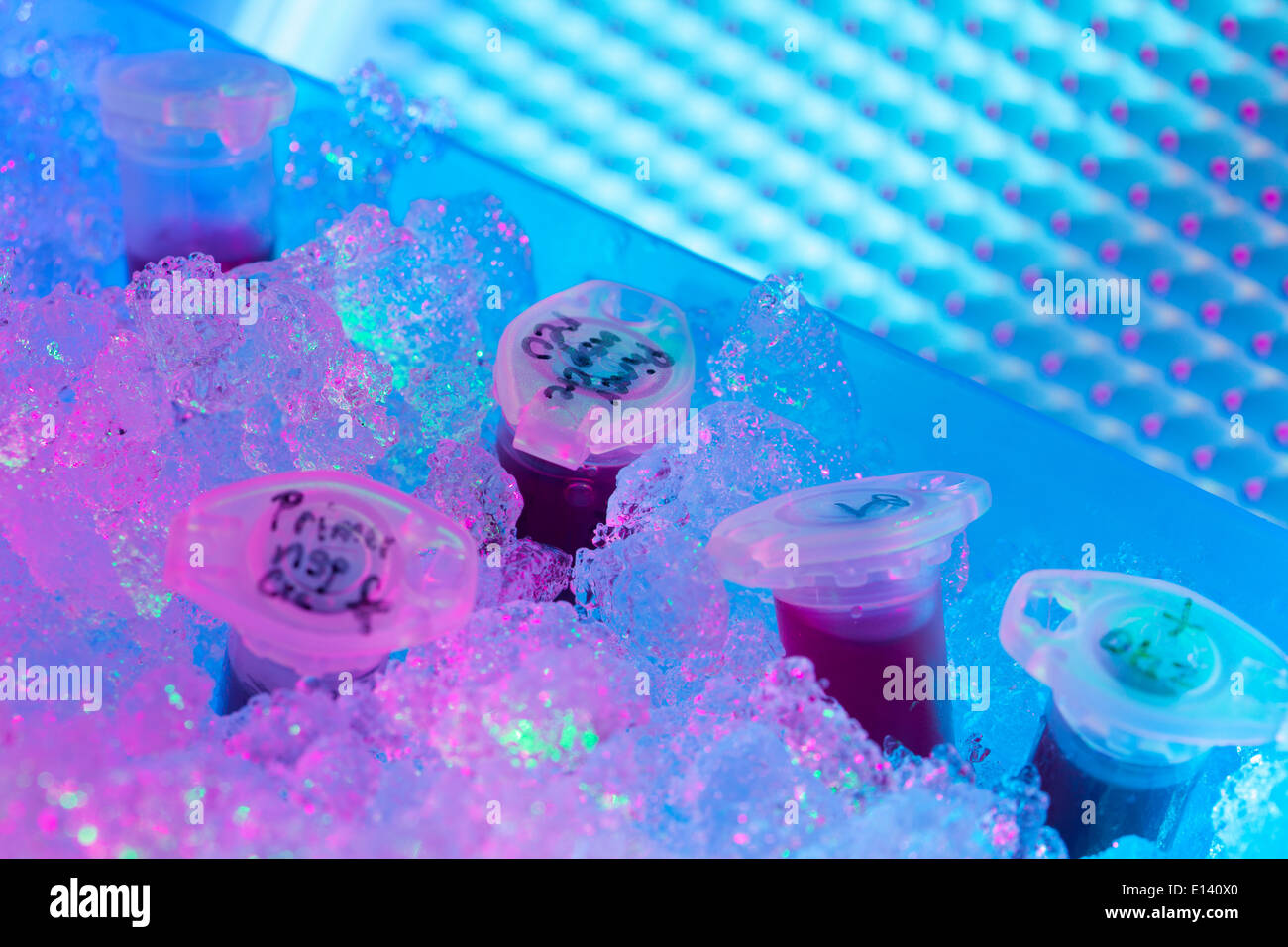 Lab in a box hi-res stock photography and images - Alamy