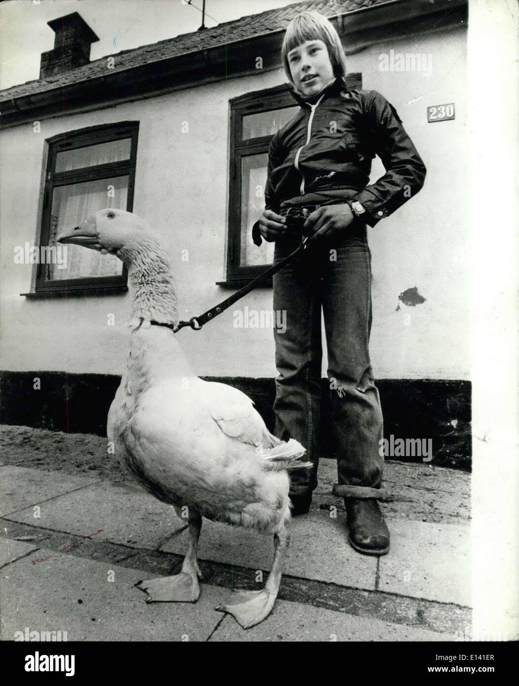Mar. 31, 2012 - Taking the pet for a Goosestep: This young man in ...