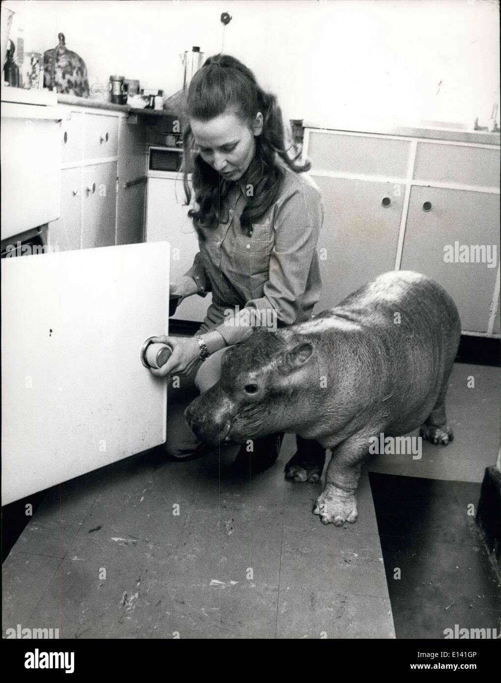 Black and white hippo hi-res stock photography and images - Alamy