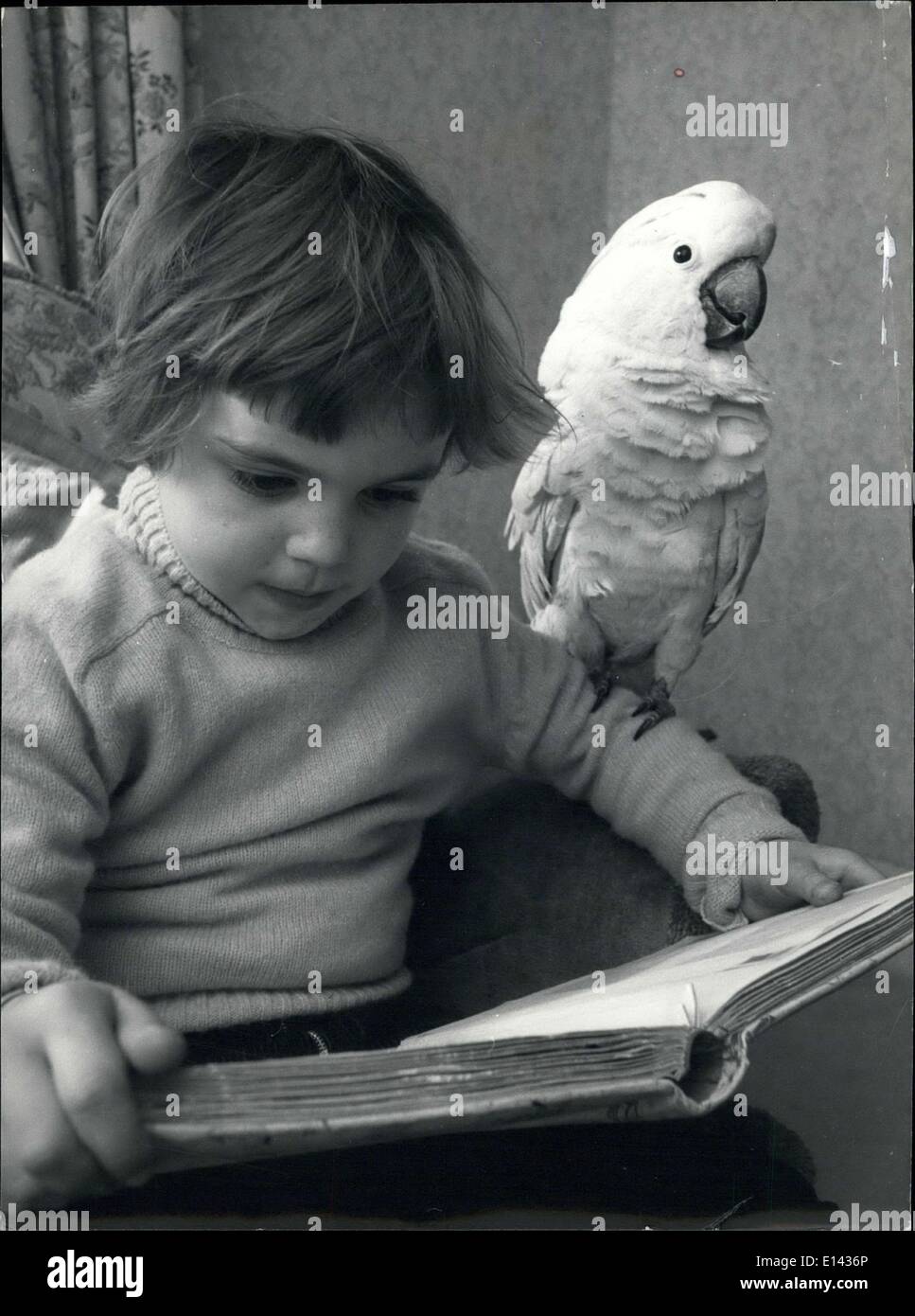 Poly hi-res stock photography and images - Alamy