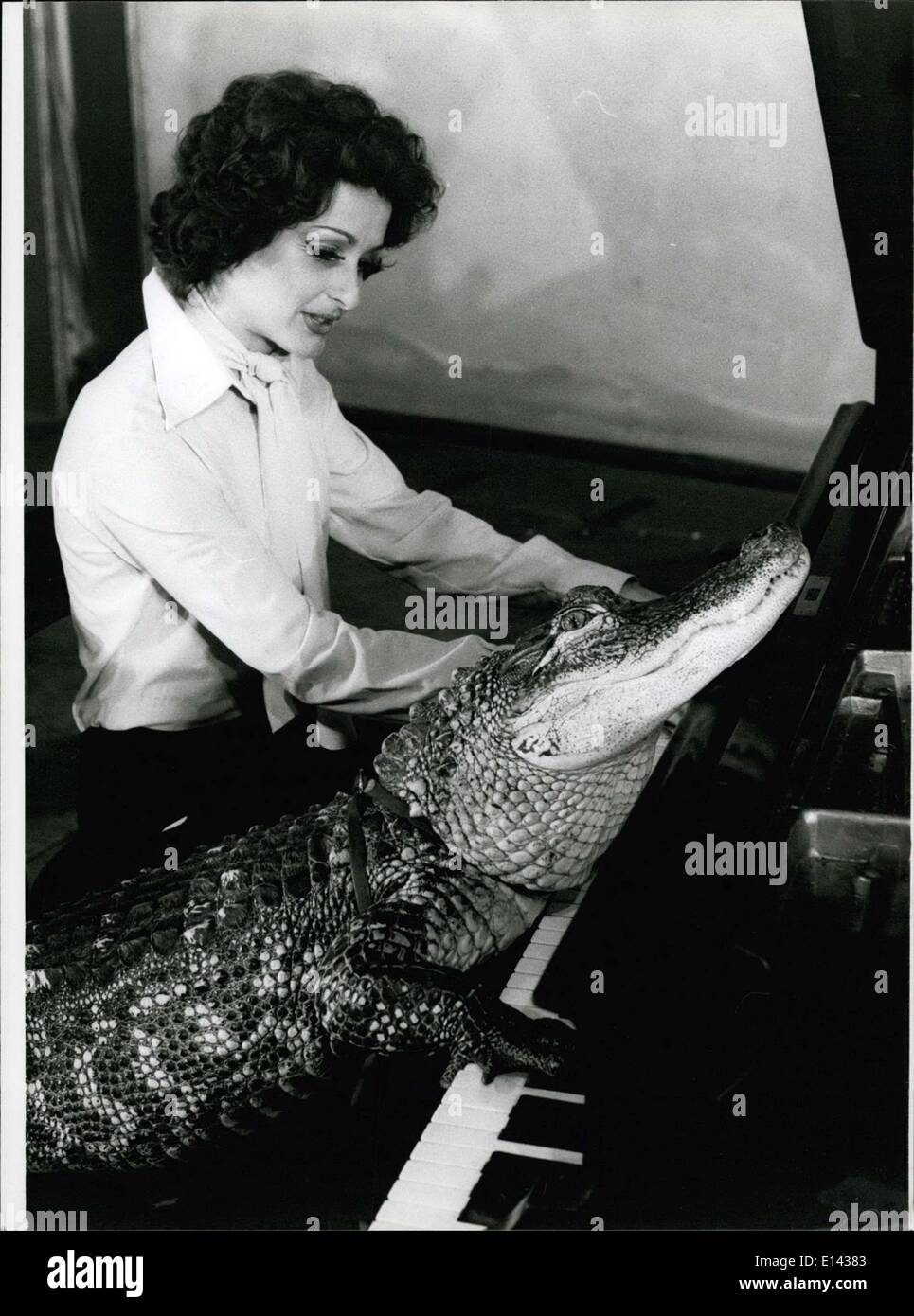 Alligator show hi-res stock photography and images - Alamy