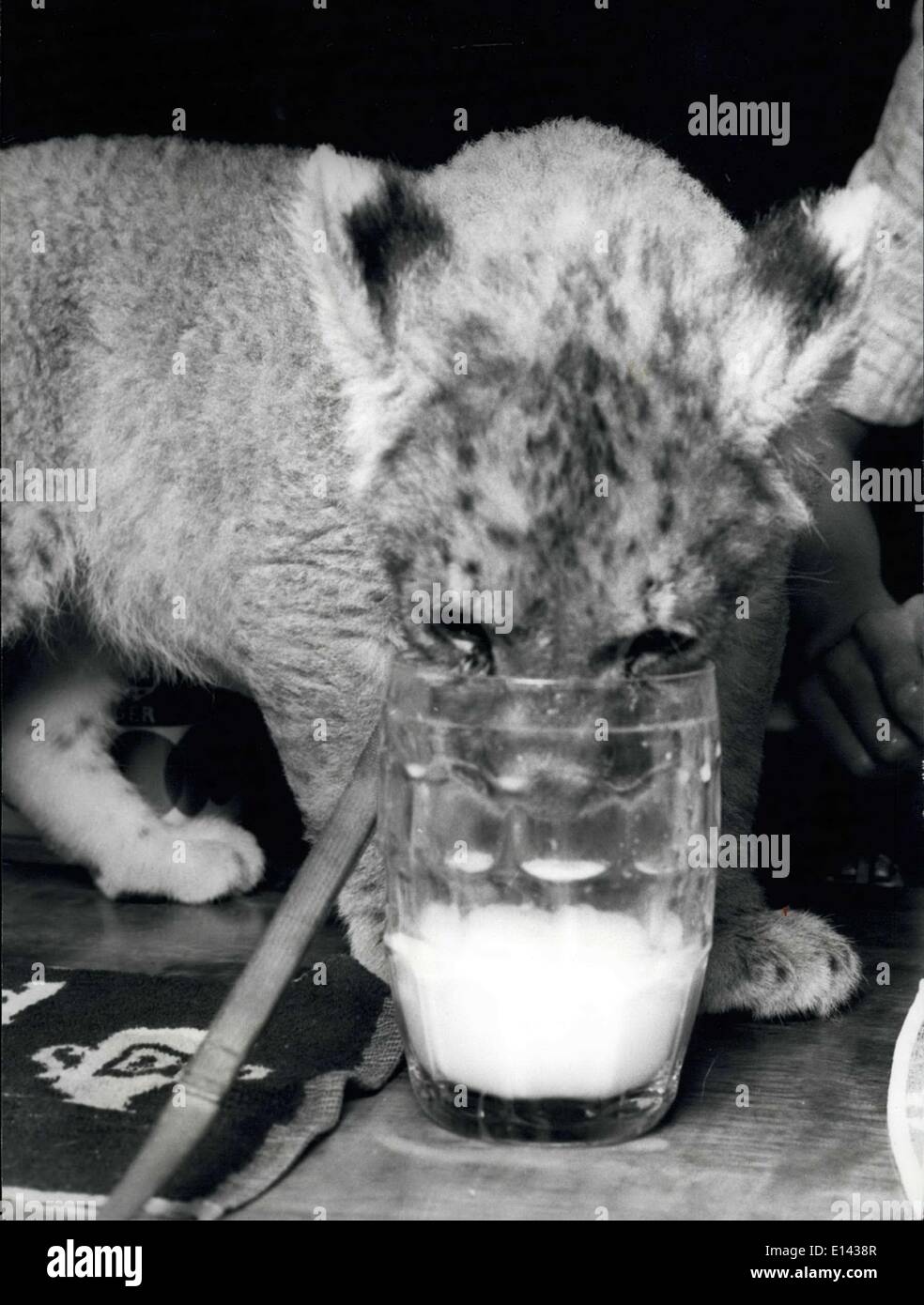 Half pint milk hi-res stock photography and images - Alamy