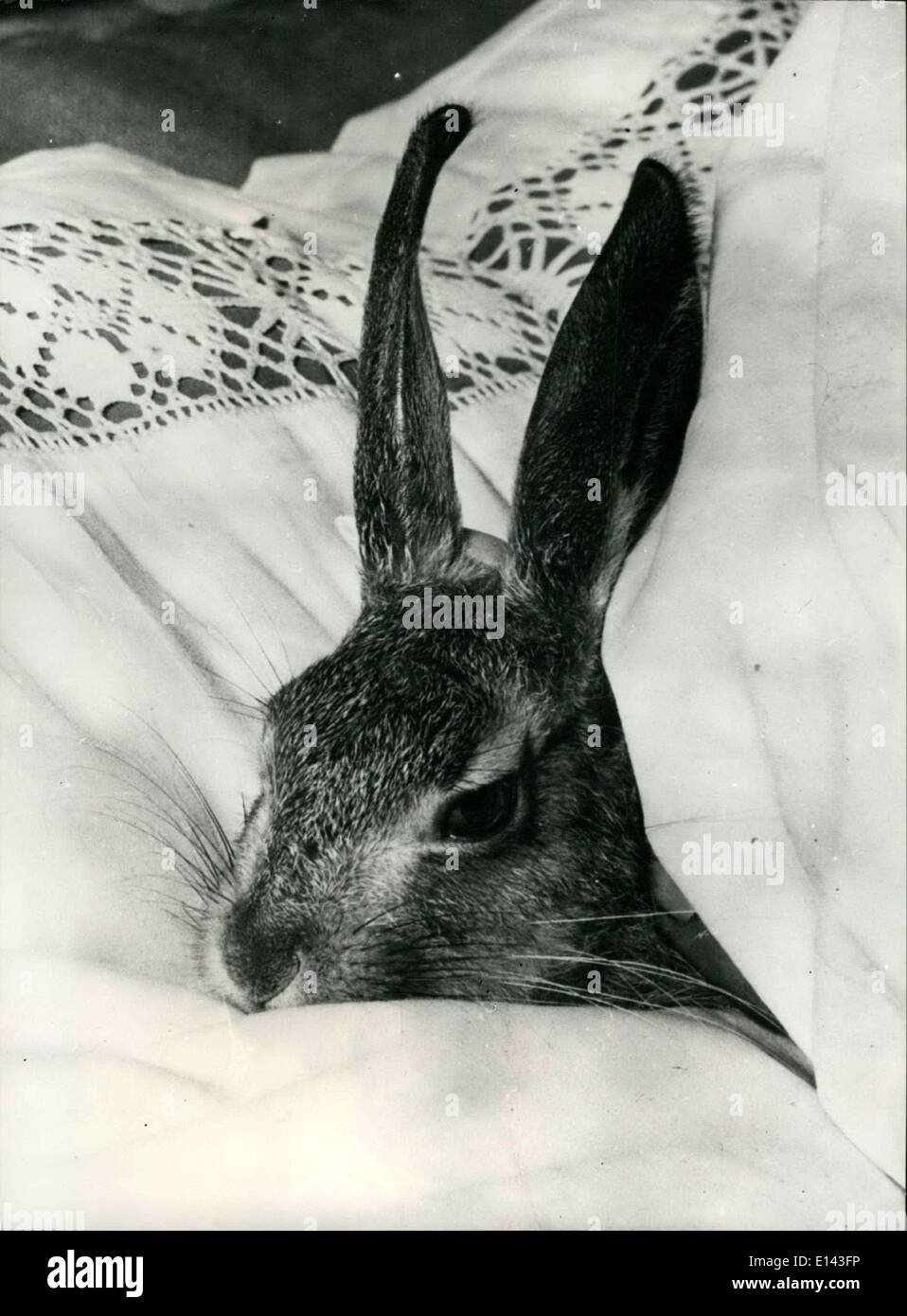 Queer friendships some unusual animal pals hi-res stock photography and ...