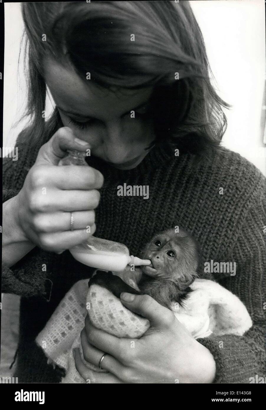 2012 feeding a baby monkey hi-res stock photography and images - Alamy