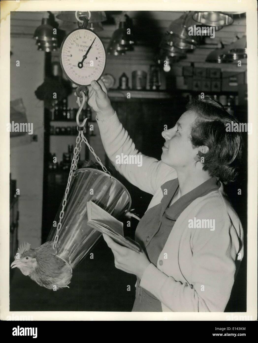 Keeps chicken in hi-res stock photography and images - Alamy