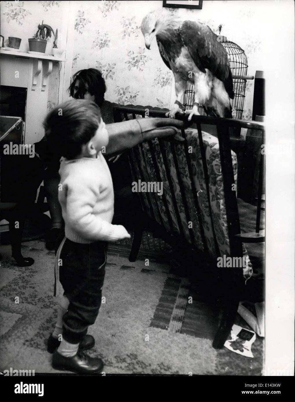 Simon bird hi-res stock photography and images - Alamy