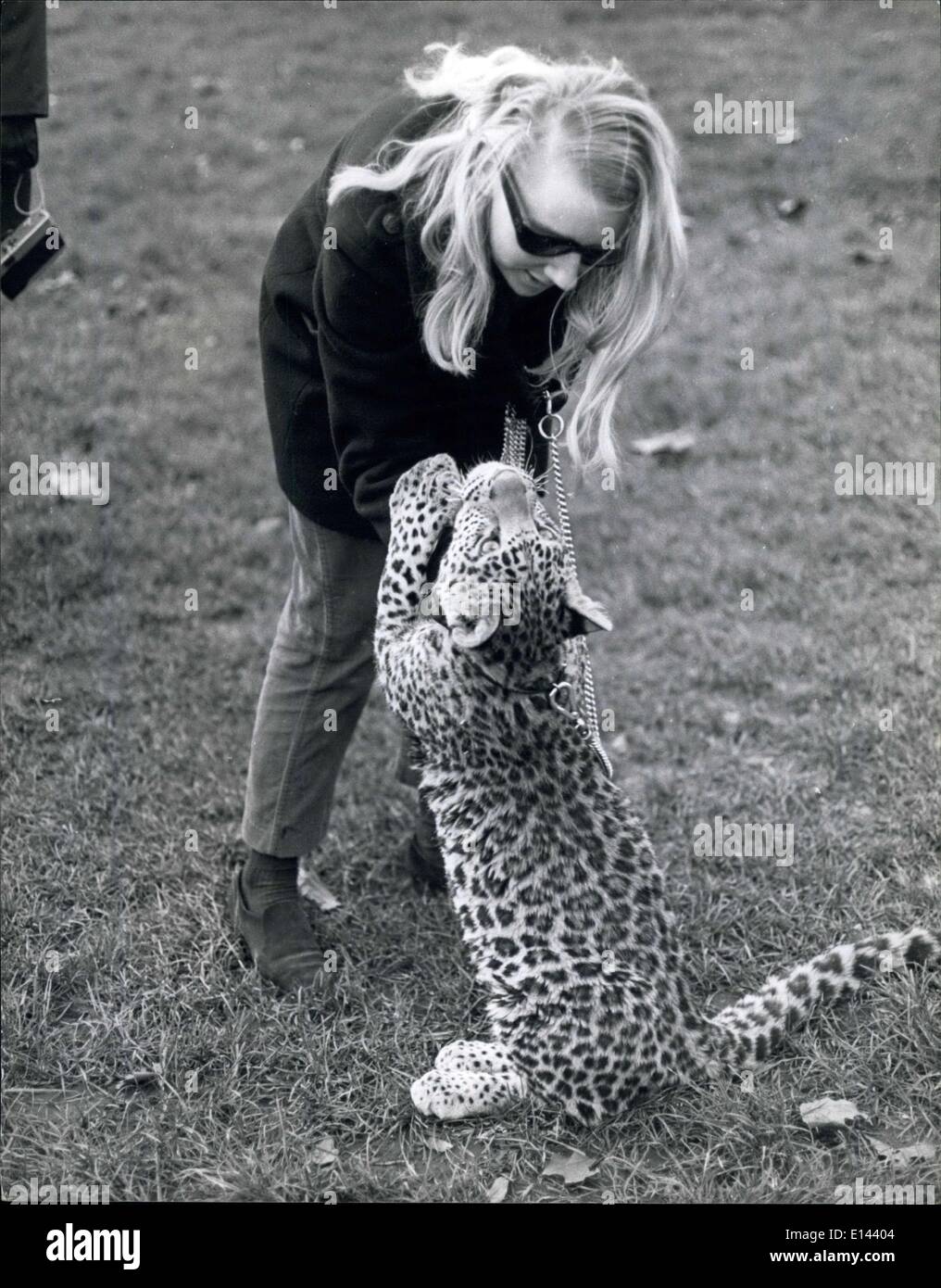 Leopard 2 hi-res stock photography and images - Alamy