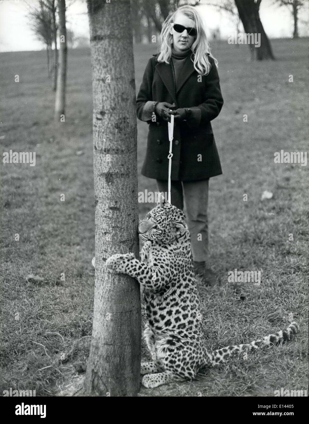 Apr. 04, 2012 - Angela takes her pet leopard, Michael, for his walk in ...