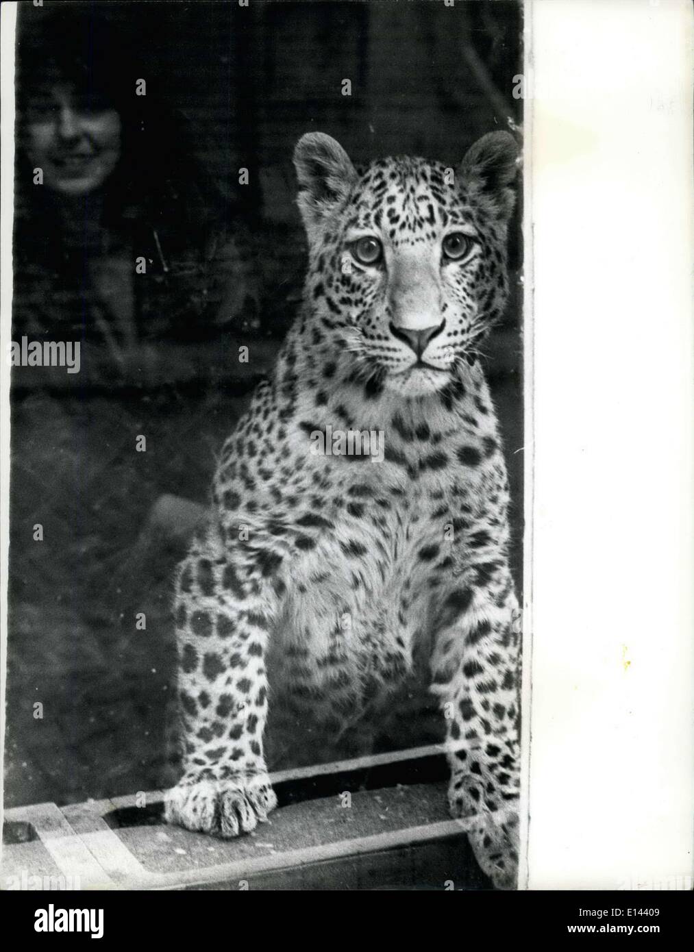 Angela mcwilliams hi-res stock photography and images - Alamy