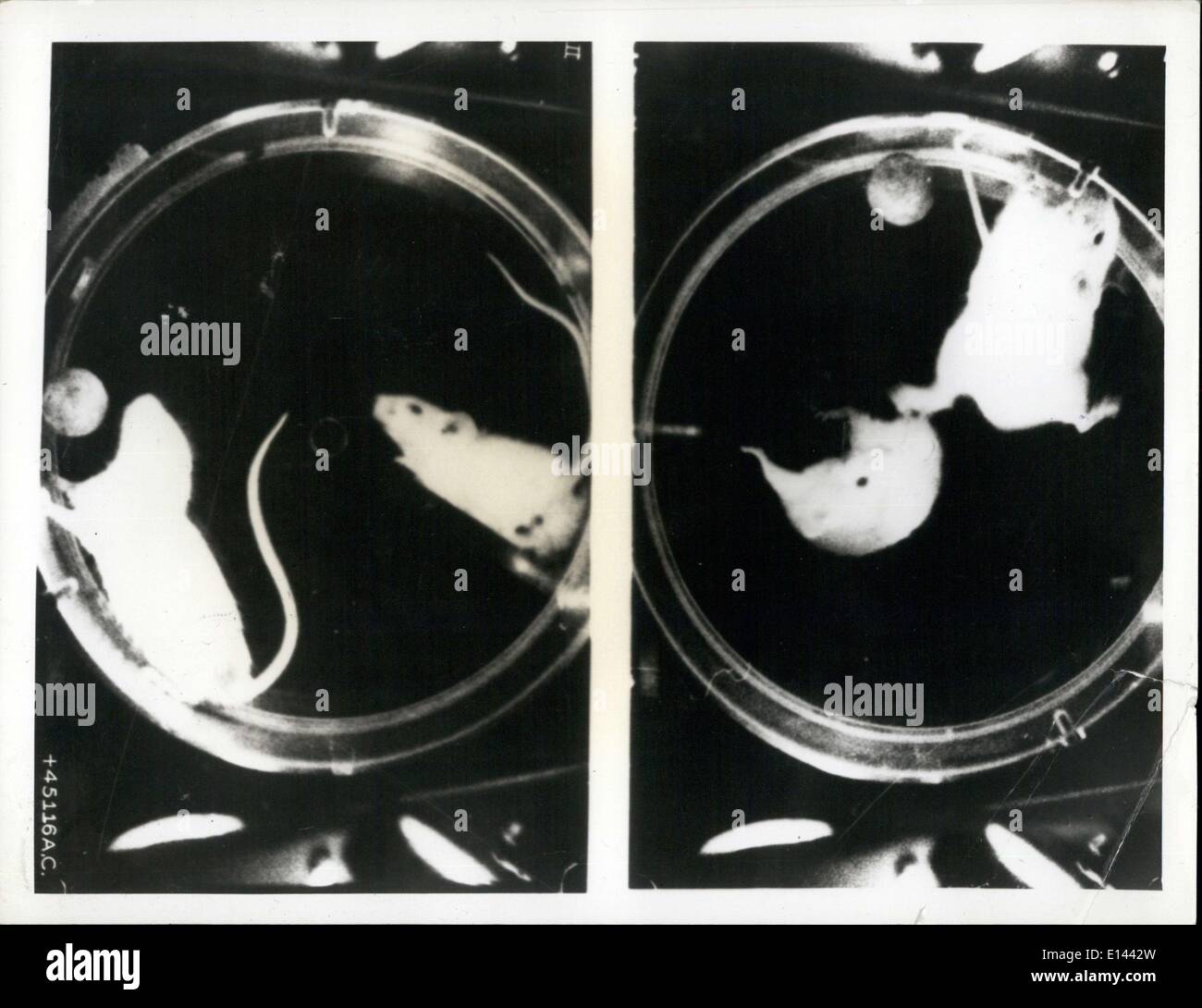 U s sounding rocket hi-res stock photography and images - Alamy