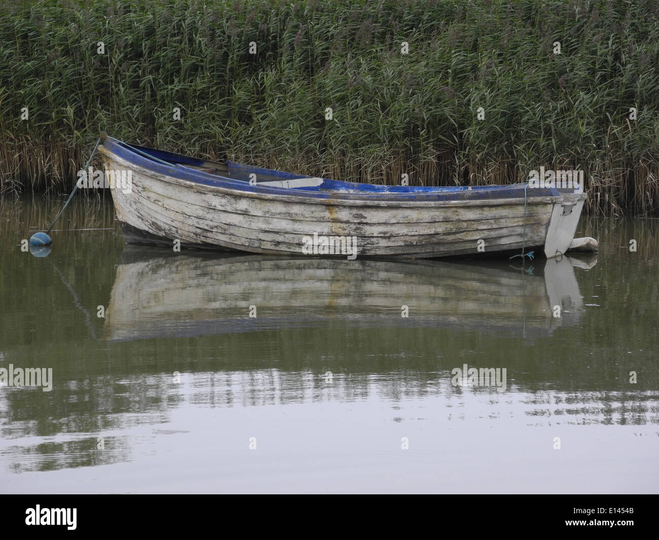 row boat moored next to reed beds snape maltings suffolk Stock Photo ...