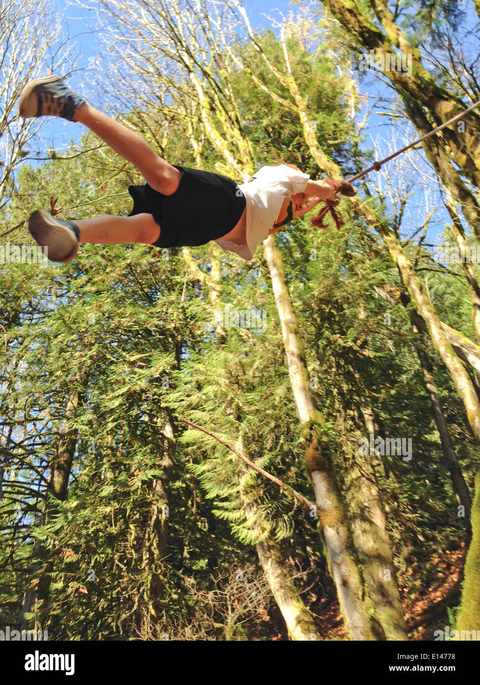 Boy swinging from tree hi-res stock photography and images - Alamy