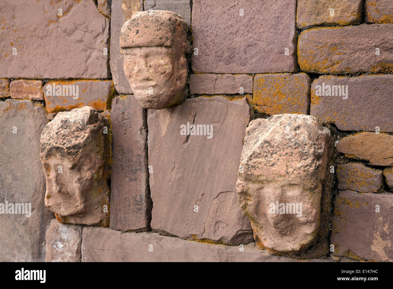 Tenon heads hi-res stock photography and images - Alamy