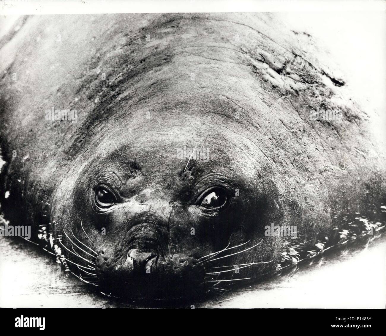 Tedious High Resolution Stock Photography and Images - Alamy