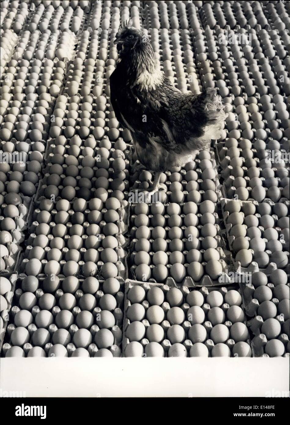 Chicken Egg Grading High Resolution Stock Photography and Images - Alamy