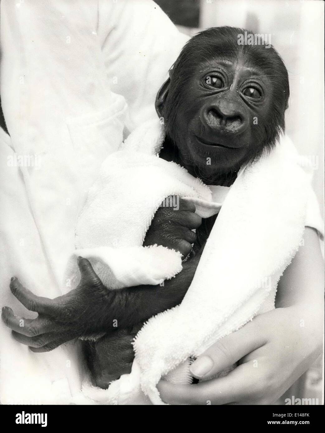 Ther jambo from basle zoo hi-res stock photography and images - Alamy