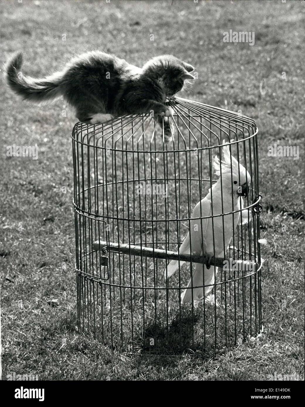 Blabber mouse hi-res stock photography and images - Alamy