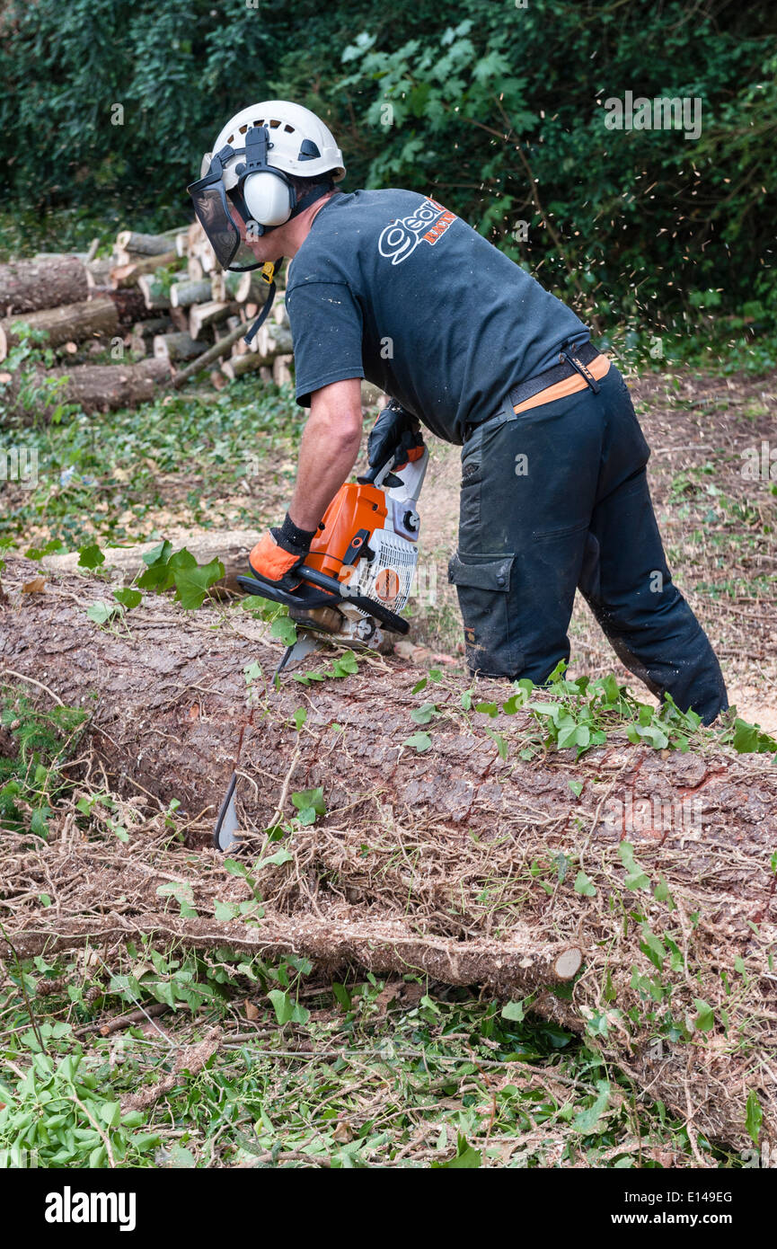 Tree surgeon hi-res stock photography and images - Alamy