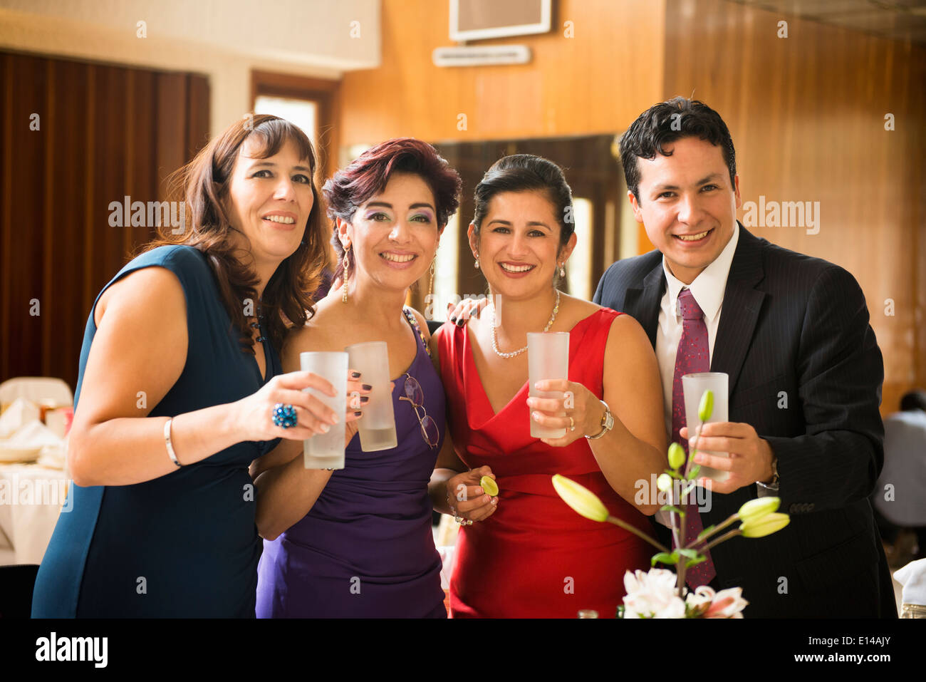 Family toasting each other at wedding reception Stock Photo - Alamy