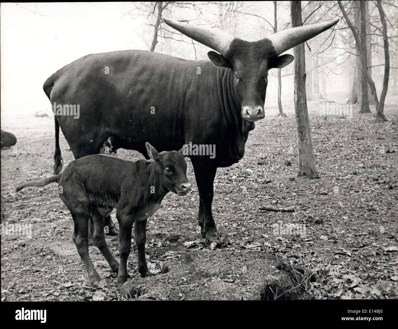 Apr. 17, 2012 - Non English Content Stock Photo - Alamy Apr. 17, 2012 - Non English Content Stock Photo - Alamy