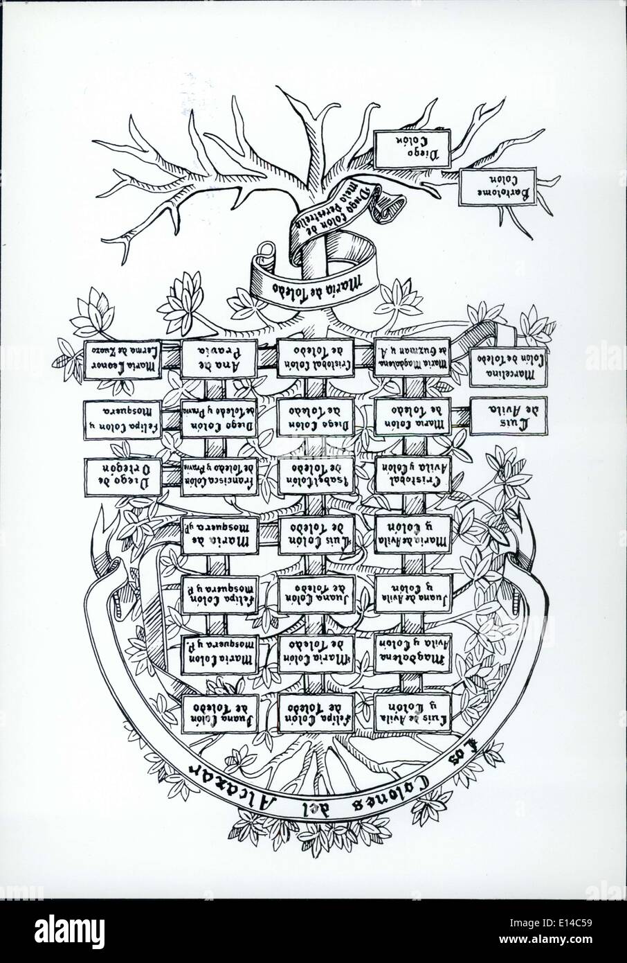 Christopher Columbus Family Tree