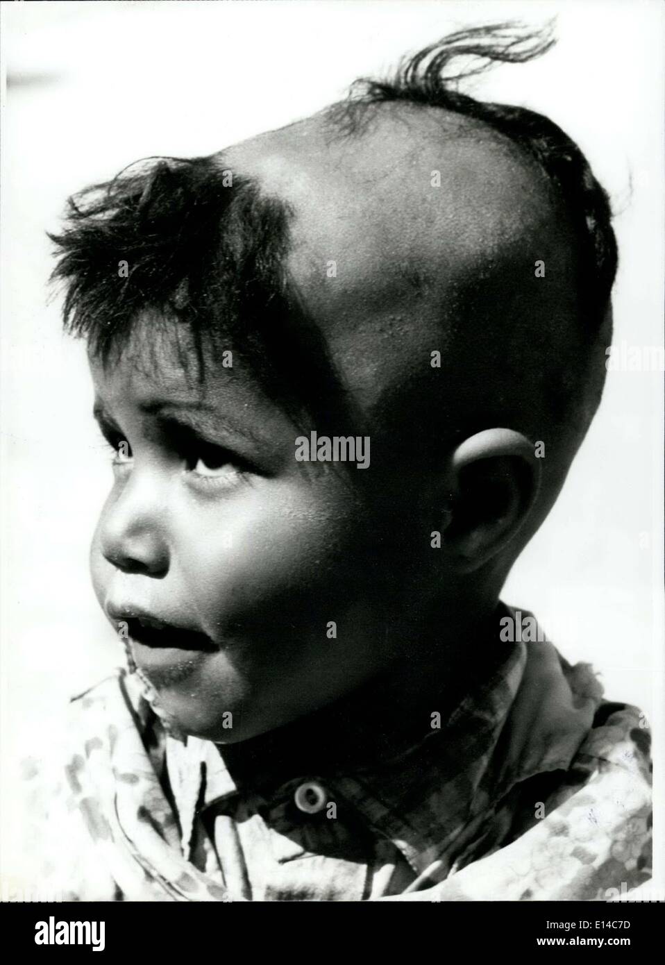 A photographer took time forelock hi-res stock photography and images ...