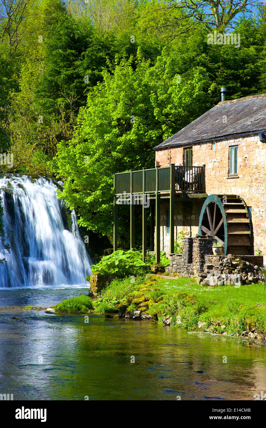 Brook burns hi-res stock photography and images - Alamy