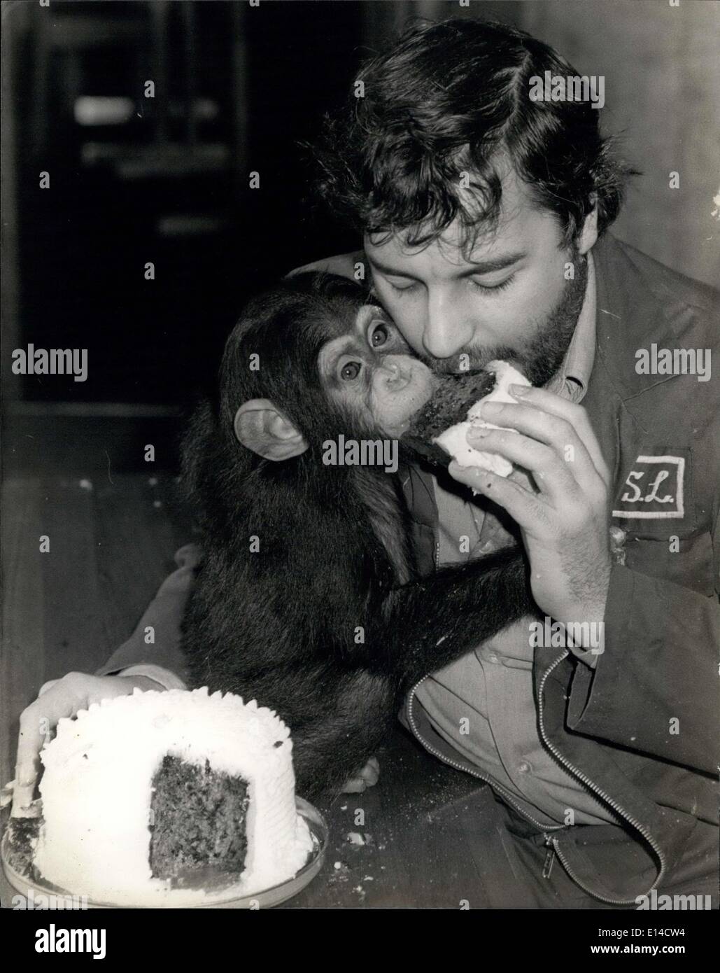 Monkeys Eating Cake