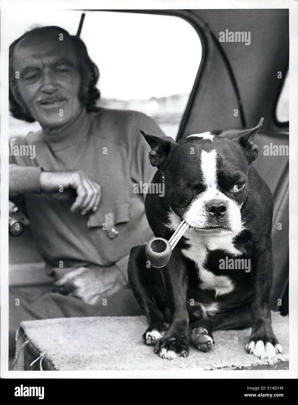 Buton pipe smoking bull terrier hi-res stock photography and images - Alamy