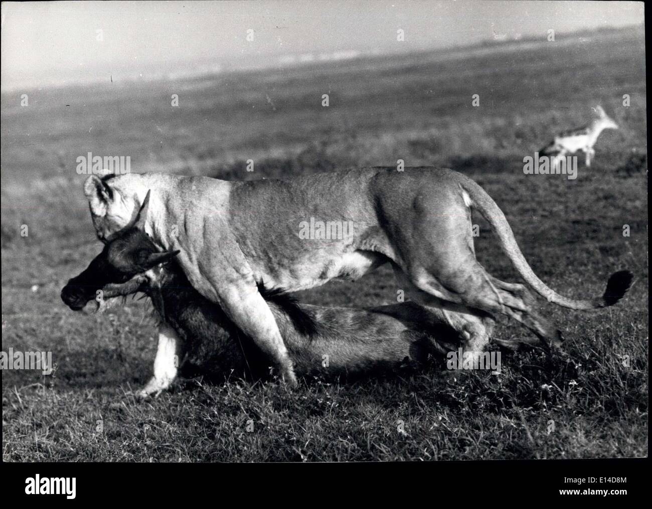 Unopposed hi-res stock photography and images - Alamy