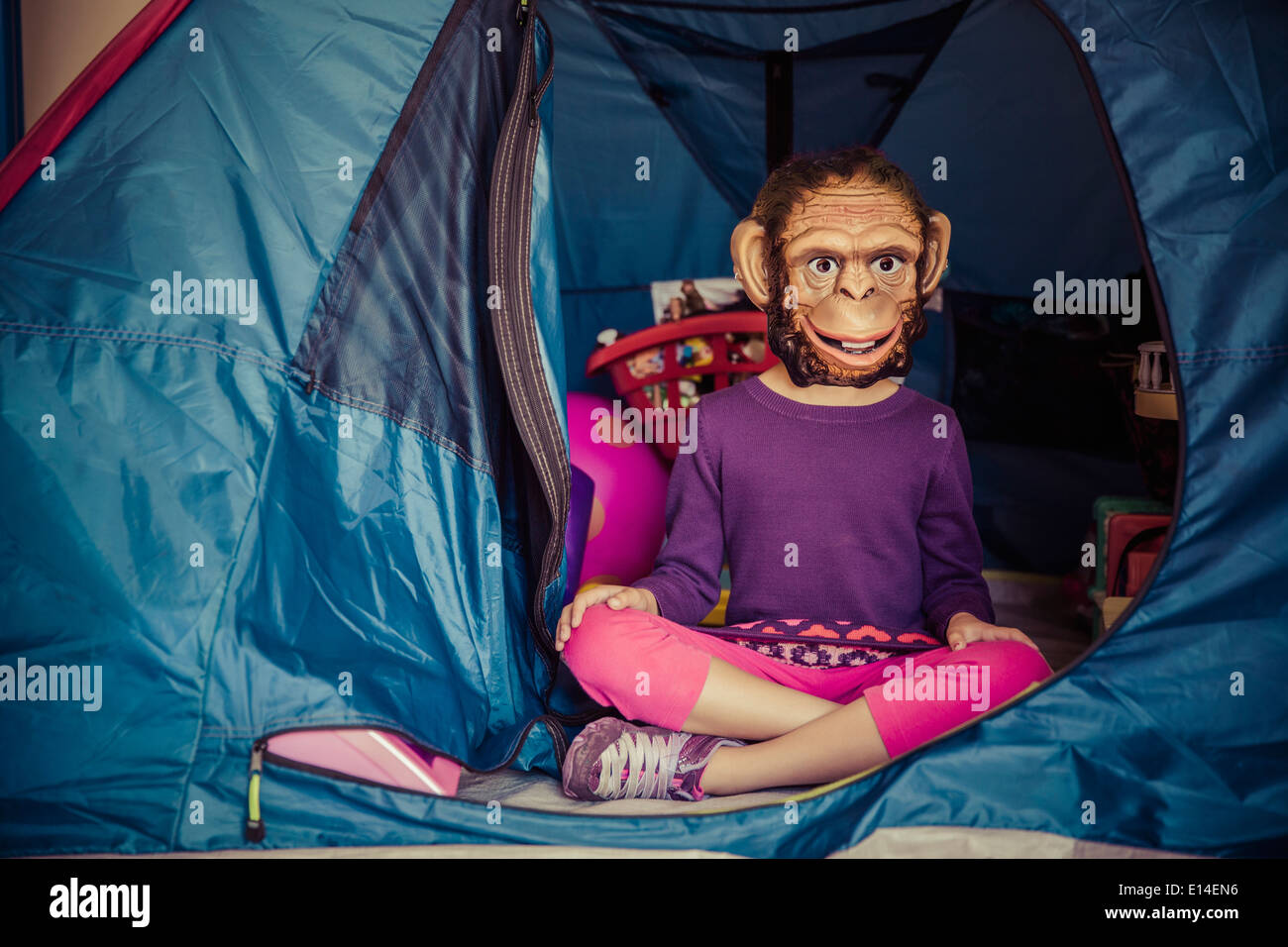 Monkey sitting cross legged hi-res stock photography and images - Alamy