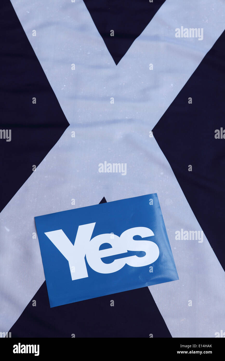 A Scottish Saltire flag with a yes sign Stock Photo - Alamy