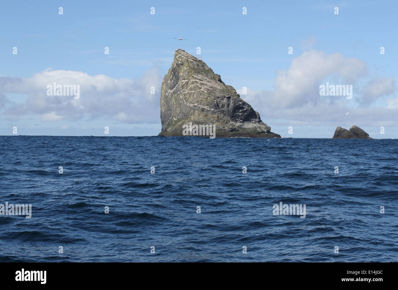 Stac Lee Boreray St Kilda Scotland May 2014 Stock Photo - Alamy