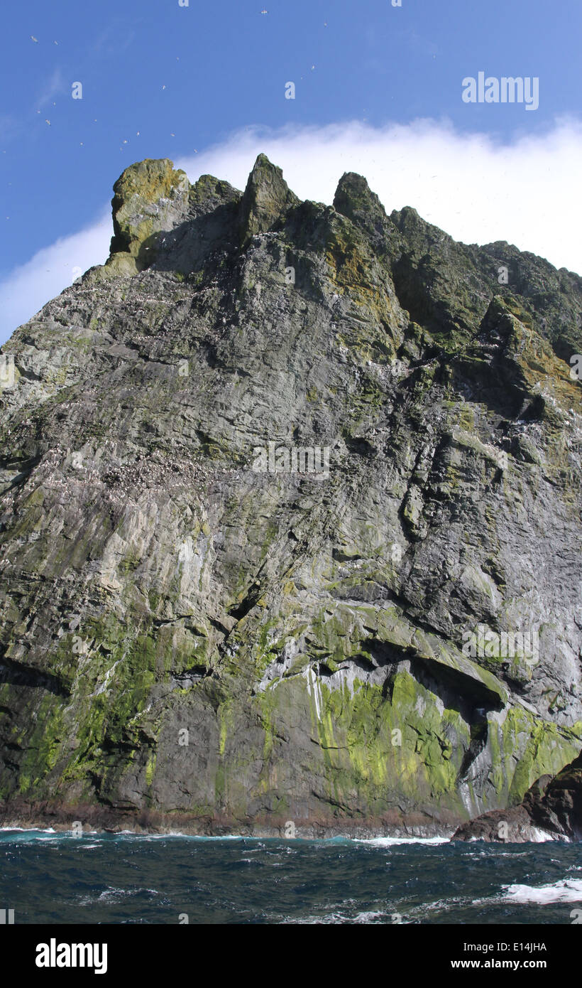Cliffs of Island of Boreray St Kilda Scotland May 2014 Stock Photo - Alamy