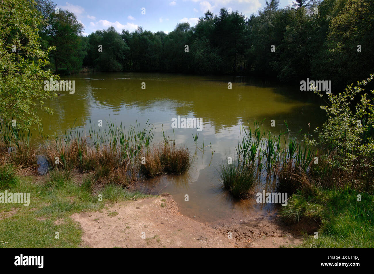 Countryside and lake hi-res stock photography and images - Alamy