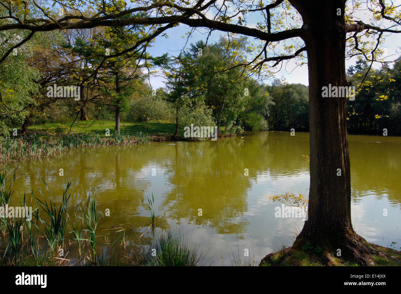 Countryside and lake hi-res stock photography and images - Alamy