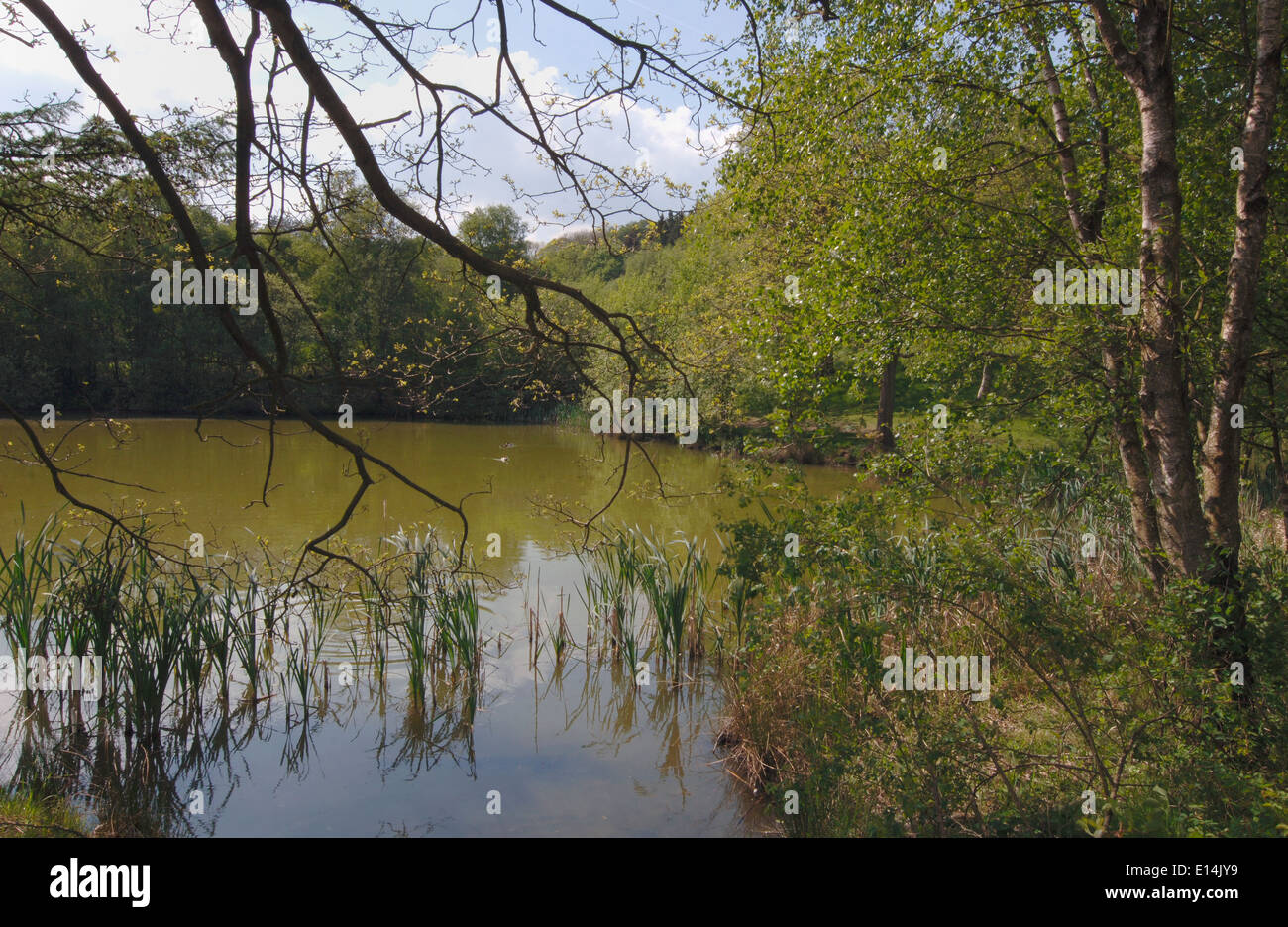 Countryside and lake hi-res stock photography and images - Alamy