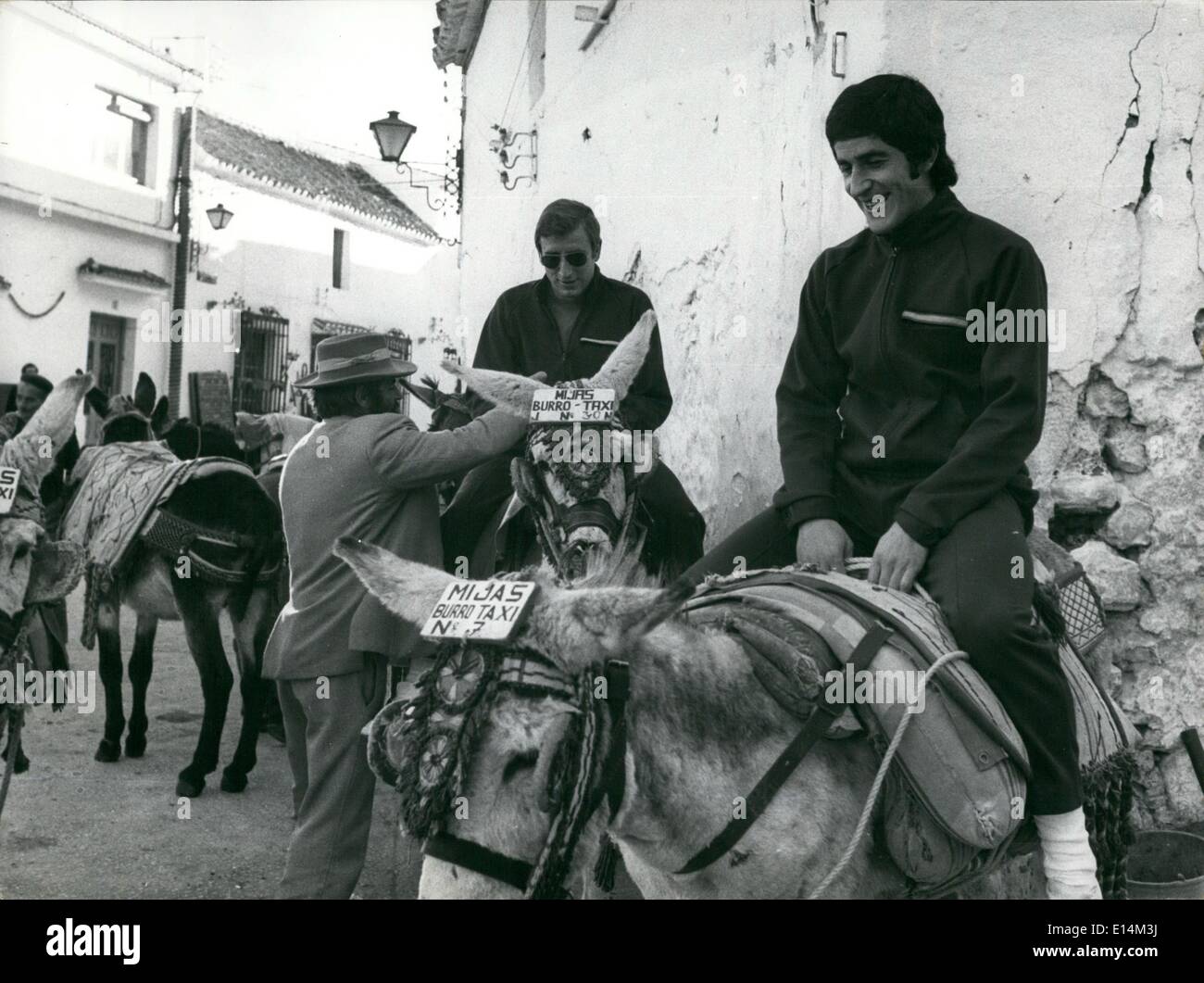 Donkey team hi-res stock photography and images - Alamy