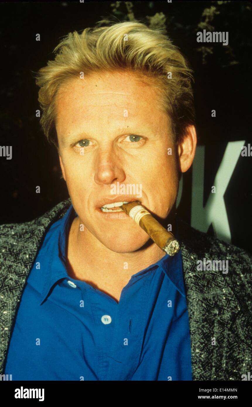 GARY BUSEY.f4002.Supplied by Photos, inc.(Credit Image: © Supplied By ...