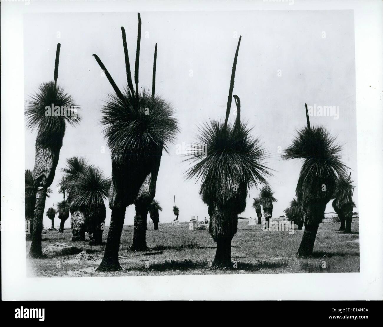 2012 caption missing hi-res stock photography and images - Alamy