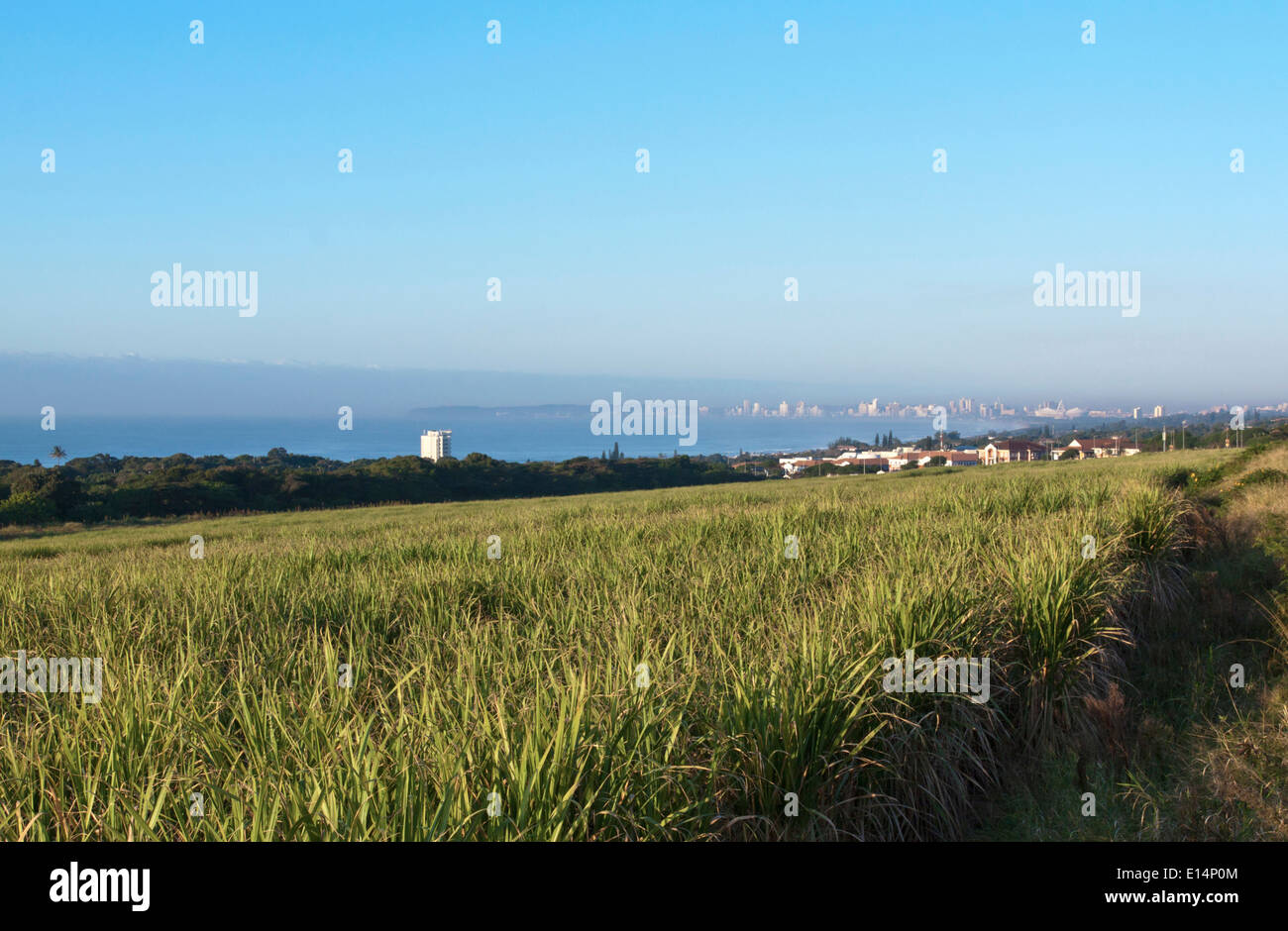Indian ocean ridge hi-res stock photography and images - Alamy