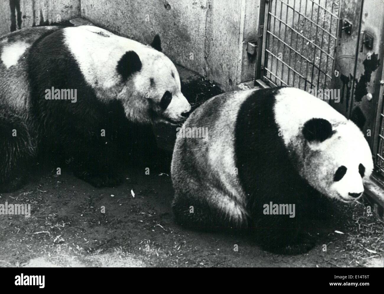 Successful mating hi-res stock photography and images - Alamy