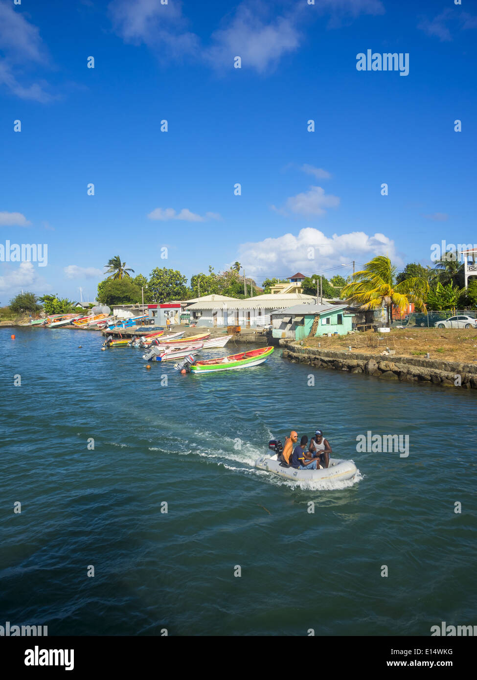 Caribbean, Lesser Antilles, Saint Lucia, Rodney Bay, fishing boats ...