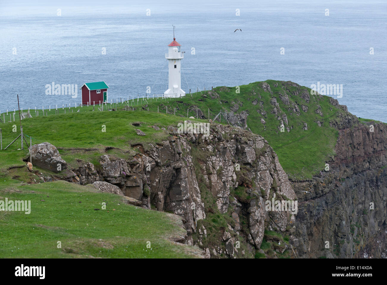 Lighthouse, Akraberg, the southernmost point of Suðuroy, Faroe Islands ...