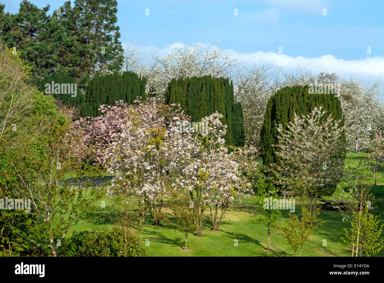 Northern ireland parliament buildings hi-res stock photography and ...