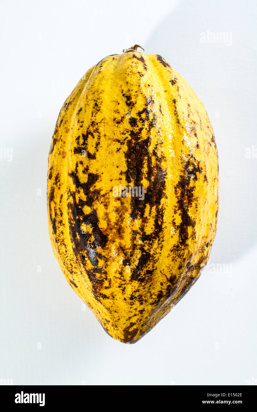 Fruit of bahia hi-res stock photography and images - Alamy